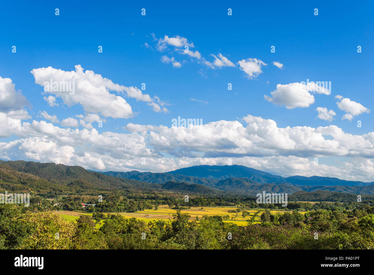 Ribble Valley Spring High Resolution Stock Photography and Images - Alamy