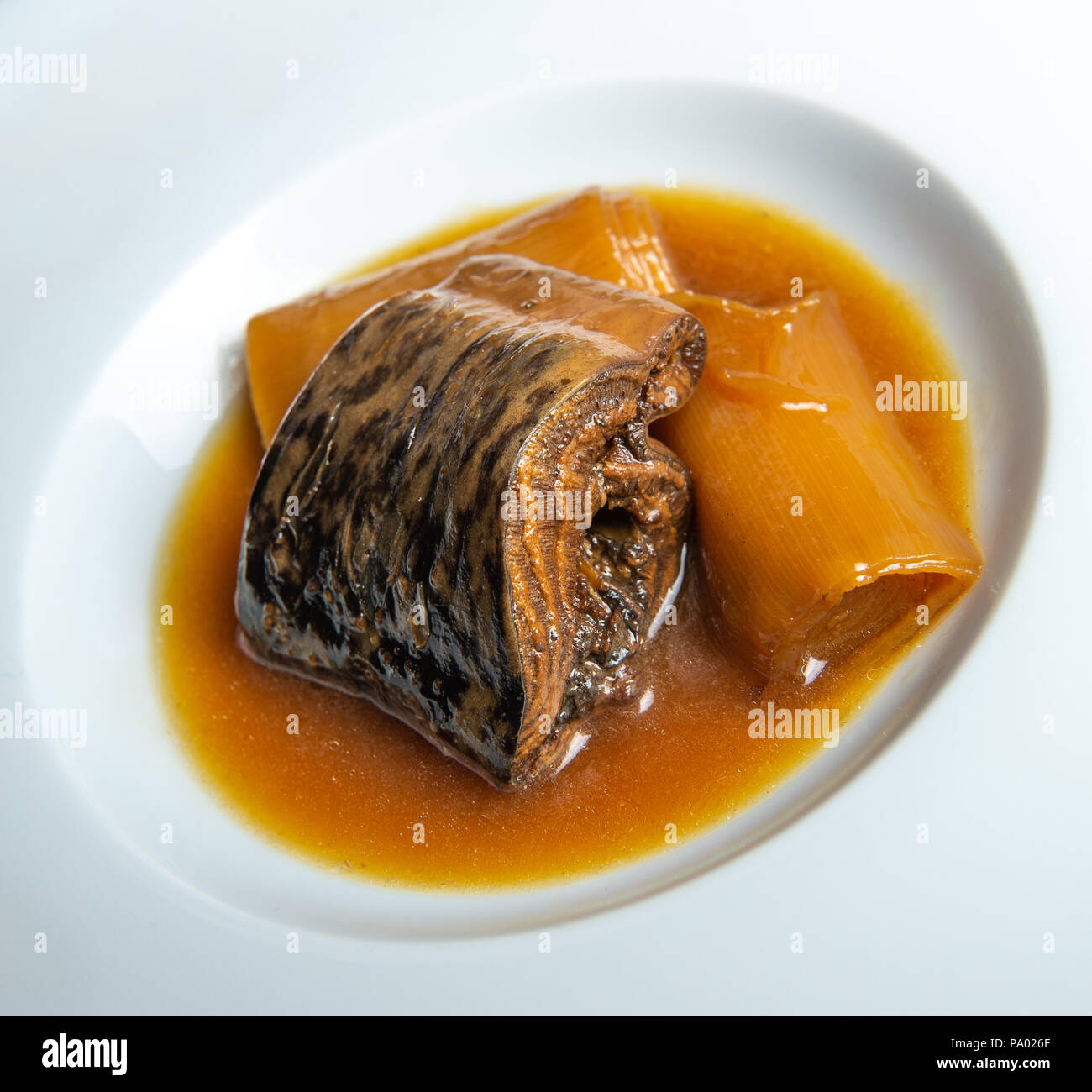 Sea lamprey hi-res stock photography and images - Alamy