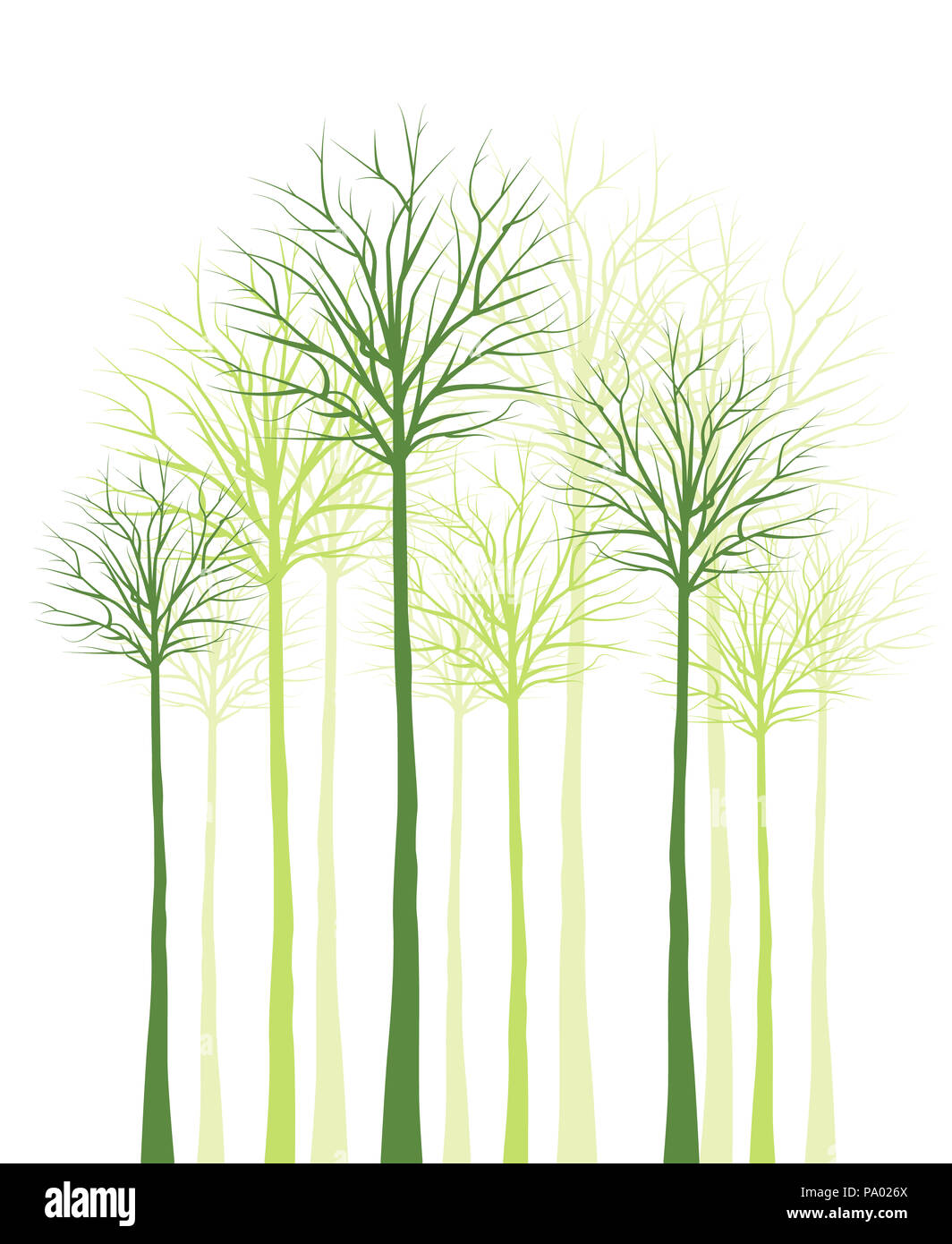 Green trees without leaves on a white background Stock Photo - Alamy