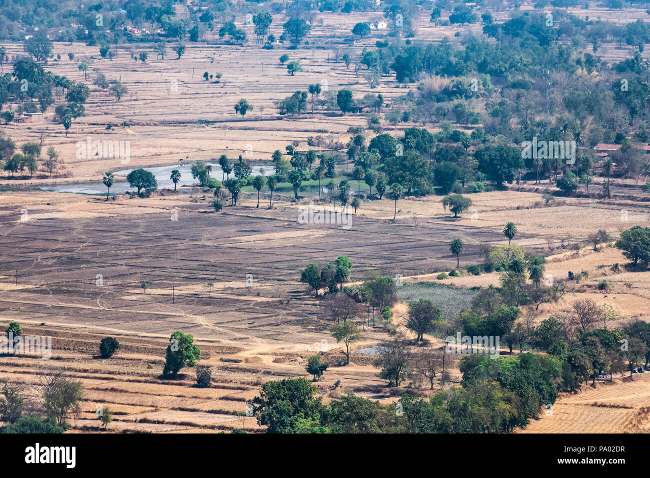 aerial photo of agro landscape of field & small forest from a top of ...