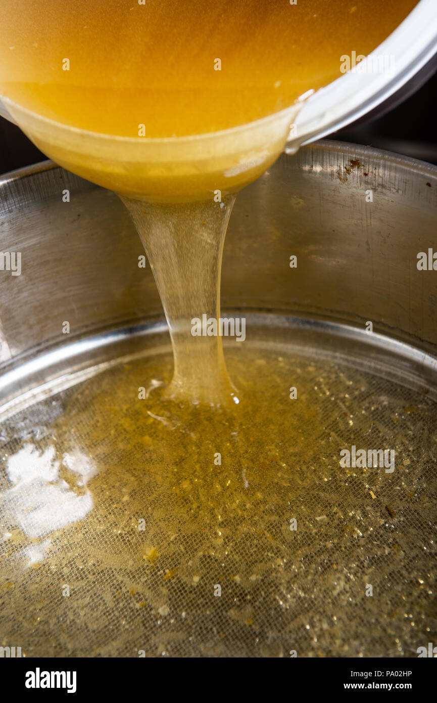 Strain the poured honey through a sieve. How to Harvest Honey ...