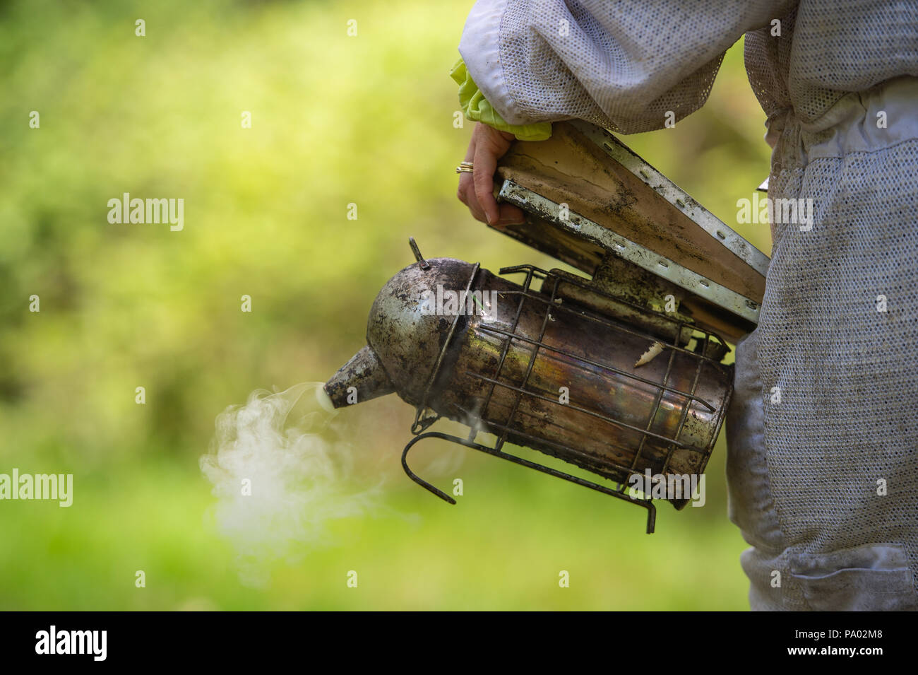 Old bee smoker, Beekeeping tool, Sring in an apiary, France Stock Photo ...