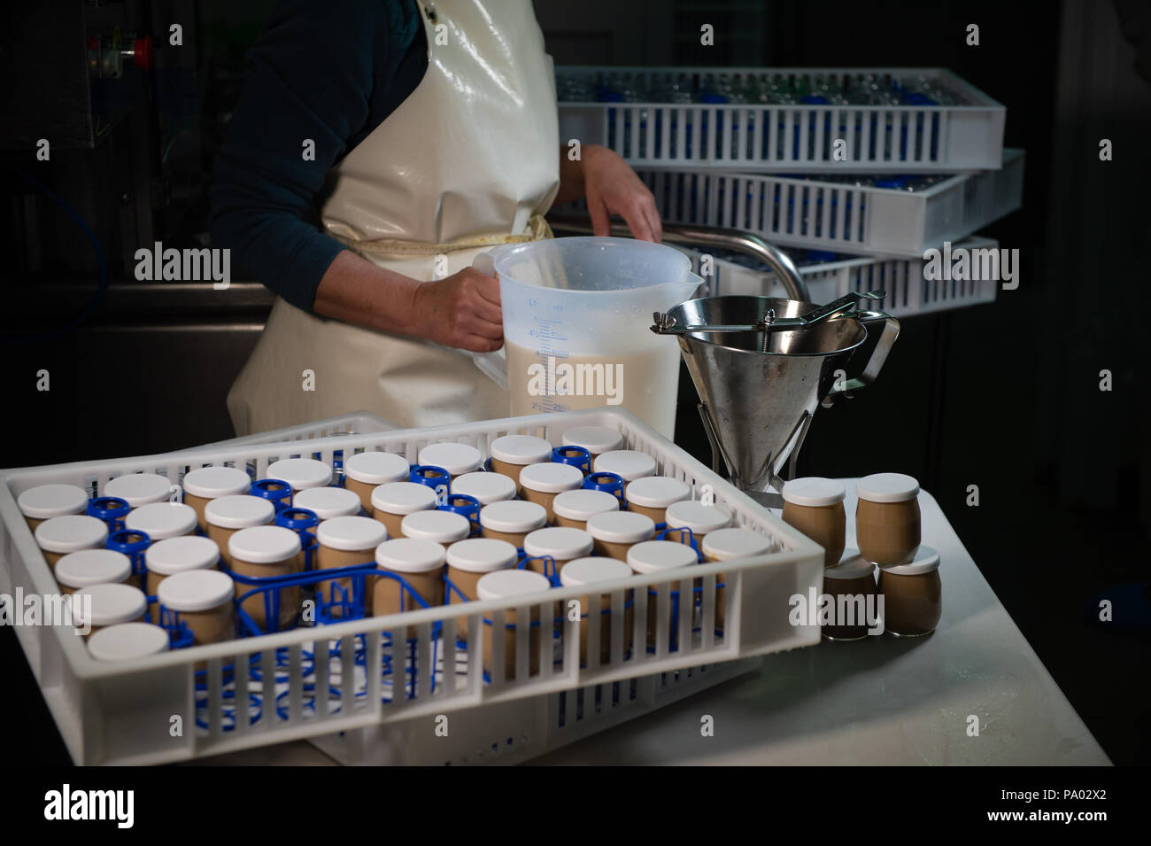 Production of yogurt in a farm, homemade cow's milk yoghurt , France ...