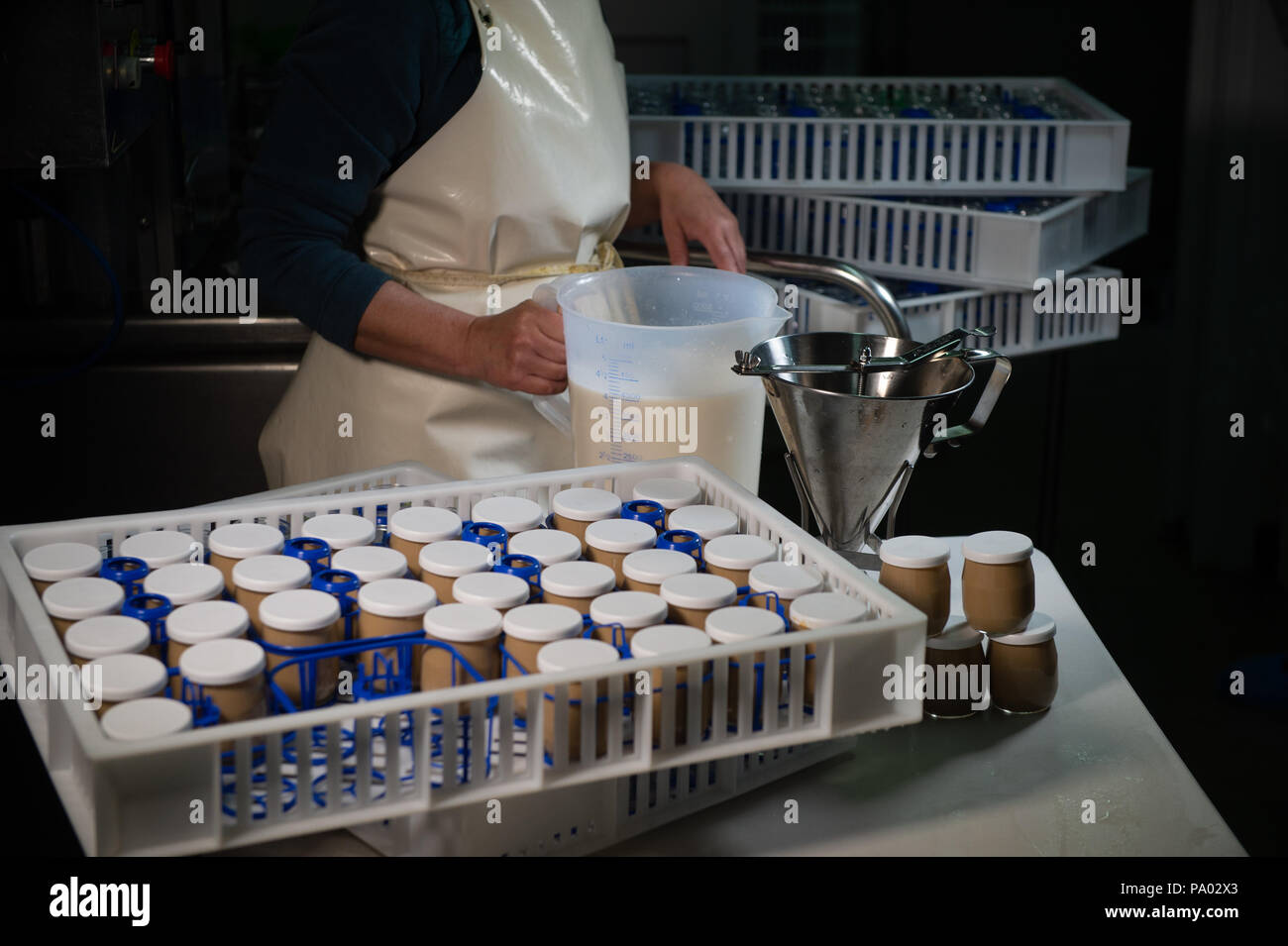 Production of yogurt in a farm, homemade cow's milk yoghurt , France ...