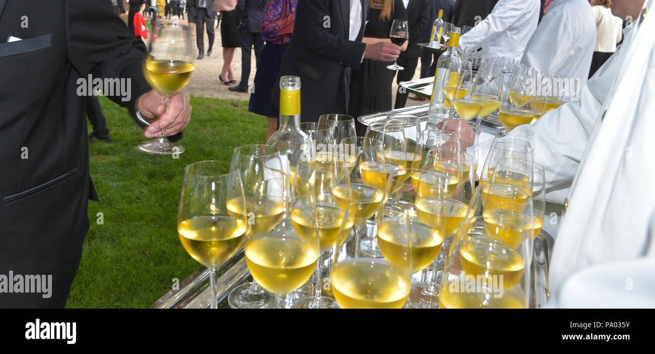 Professional waiter in uniform is serving wine, France Stock Photo - Alamy