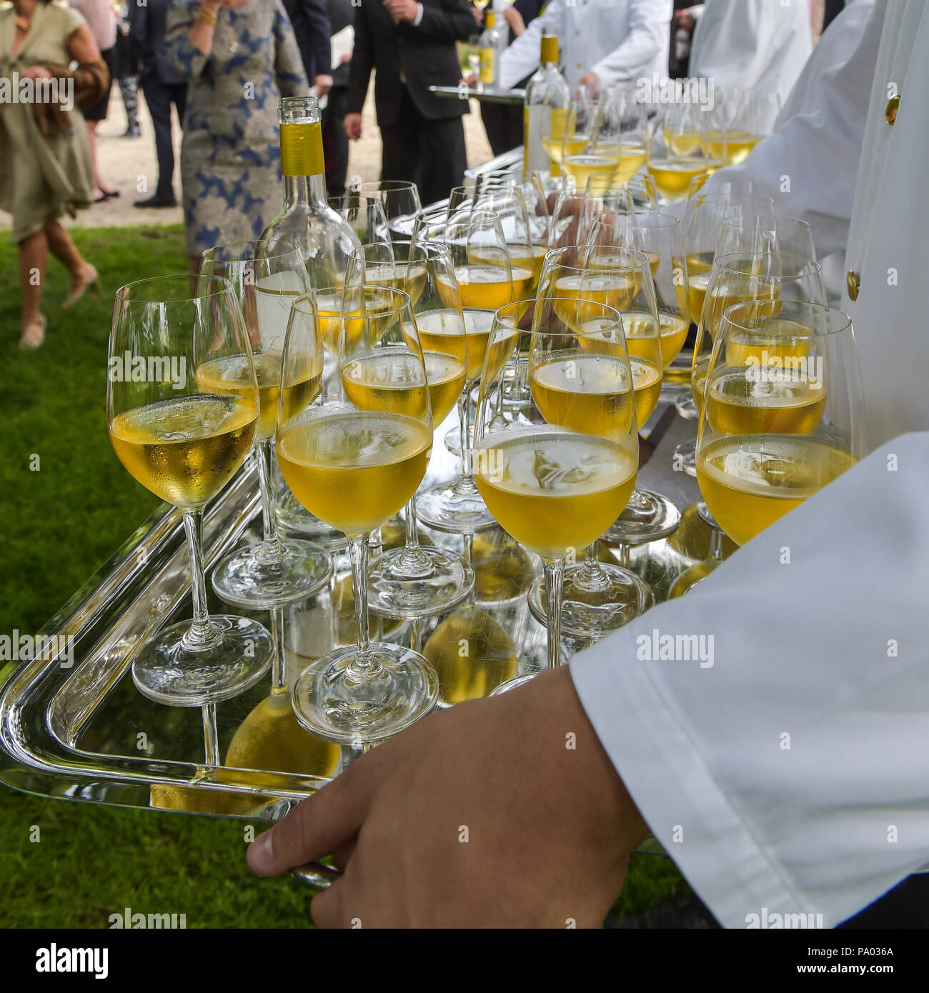 Professional male waiter in uniform serving champagne hi-res stock ...