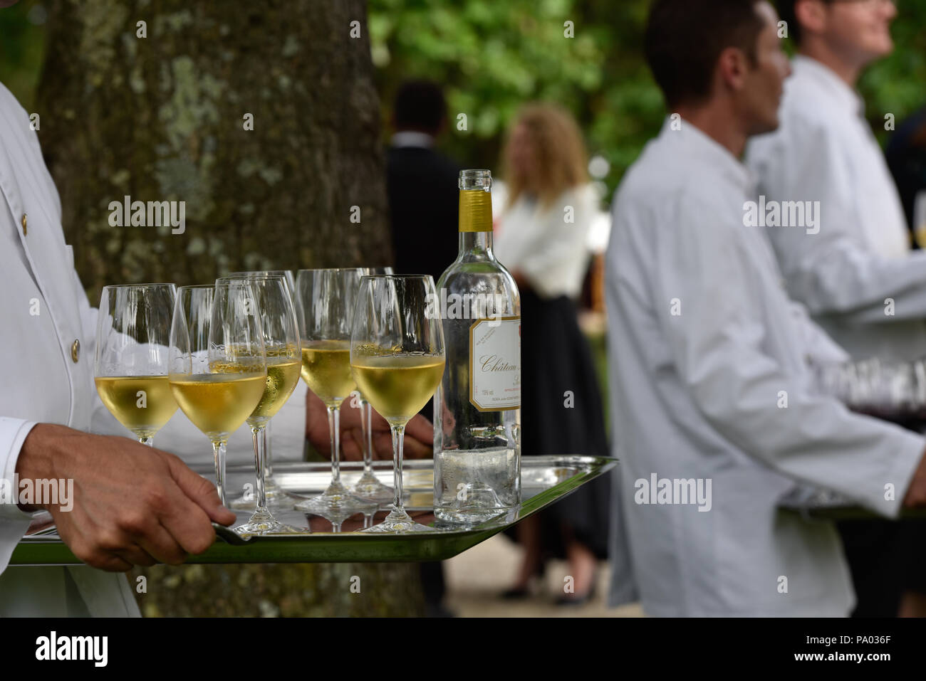 Professional waiter in uniform is serving wine, France Stock Photo - Alamy