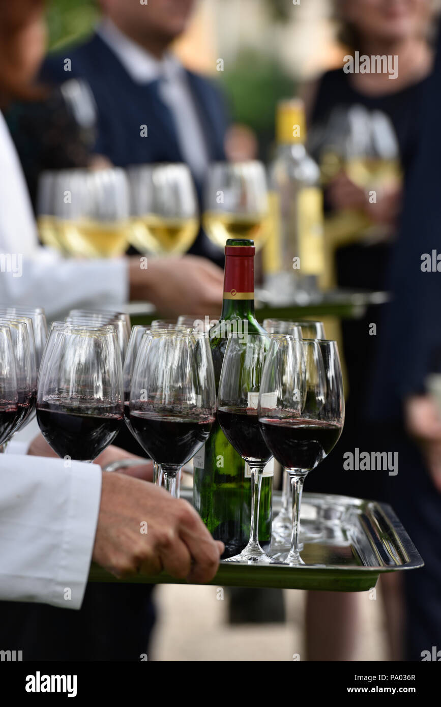 Professional male waiter in uniform serving champagne hi-res stock ...