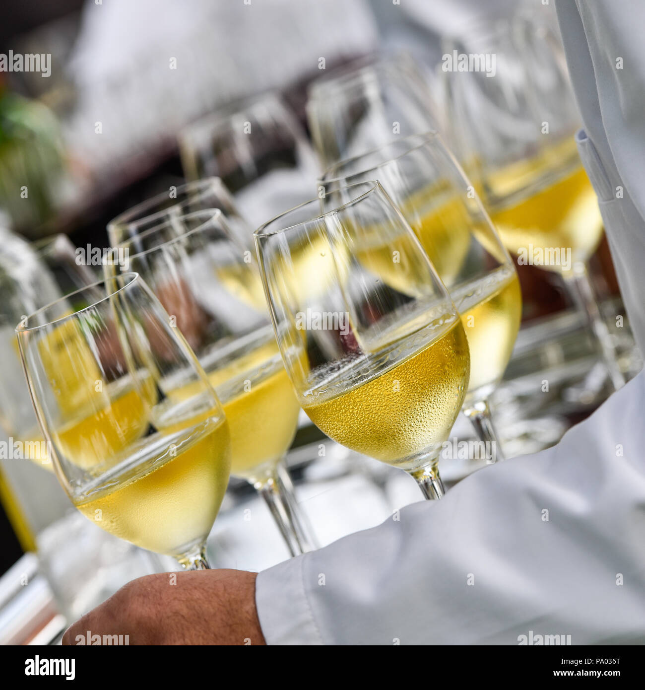 Professional waiter in uniform is serving wine, France Stock Photo - Alamy