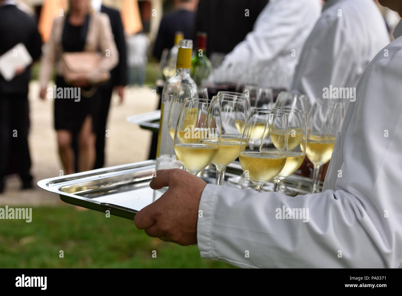 Professional waiter in uniform is serving wine, France Stock Photo - Alamy