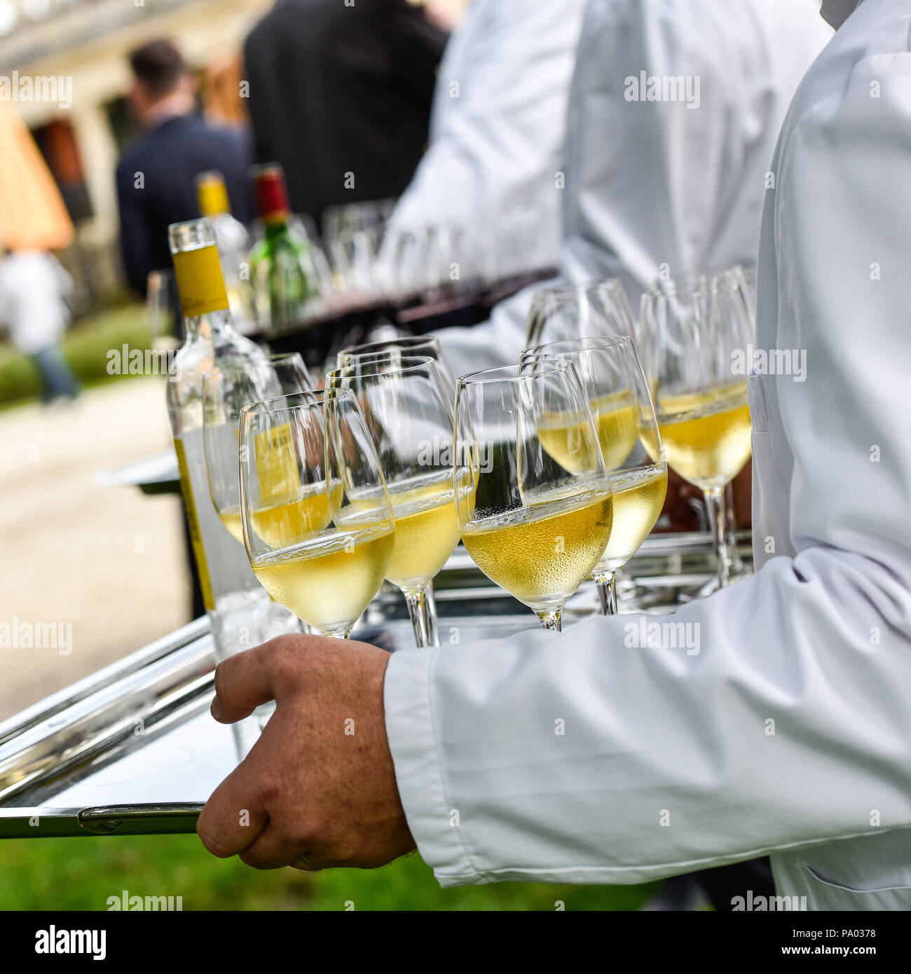 Professional waiter in uniform is serving wine, France Stock Photo - Alamy