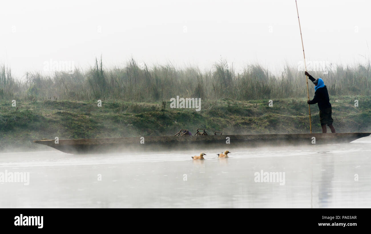 Row rowing pole hi-res stock photography and images - Alamy