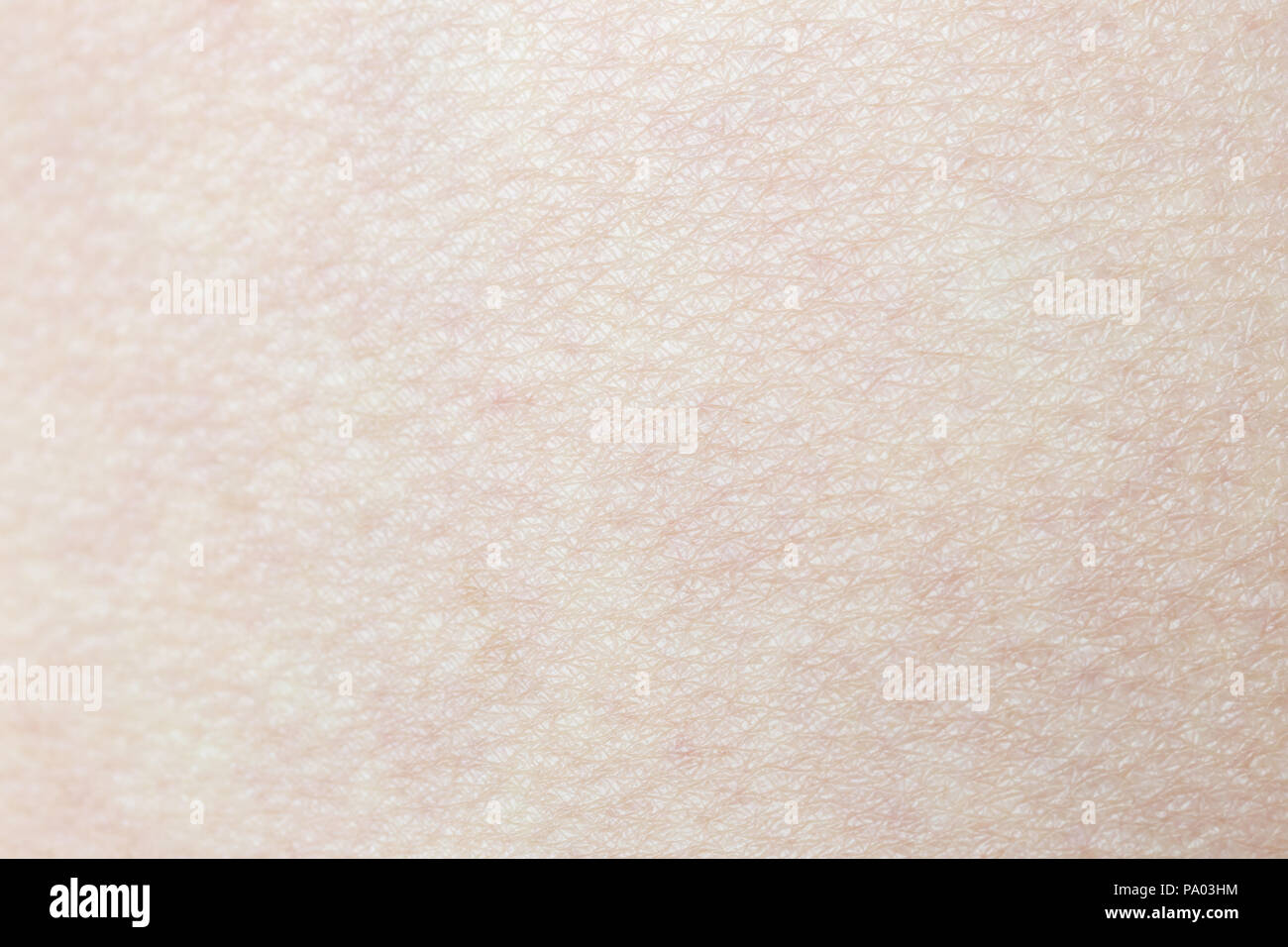 Pattern of human skin with cells and lines texture Stock Photo - Alamy