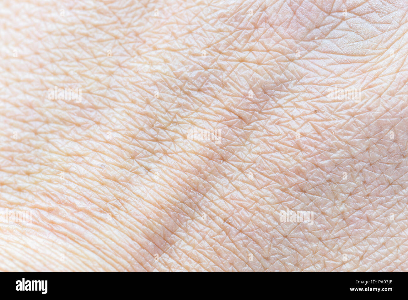 Pattern of human skin with cells and lines texture Stock Photo - Alamy