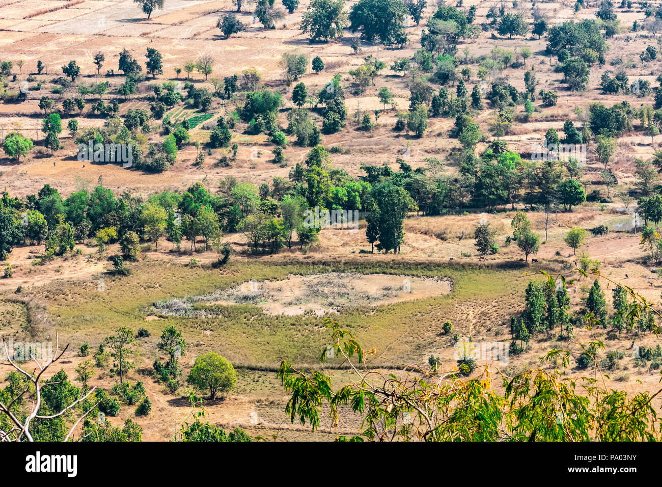 Indian farm fields and trees top arial view from the hills / mountain ...