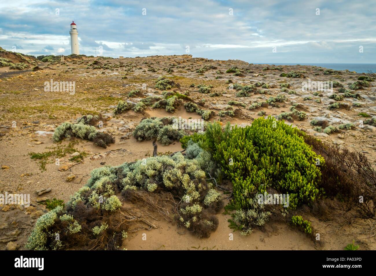 Cape Nelson State park close to Portland in Australia Stock Photo - Alamy