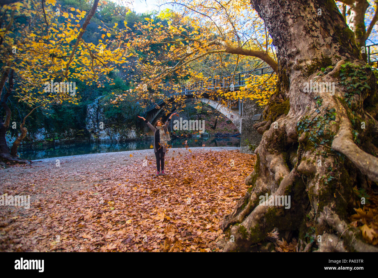 europe, greece, epiros, zagorohoria, voidomatis, river Stock Photo - Alamy