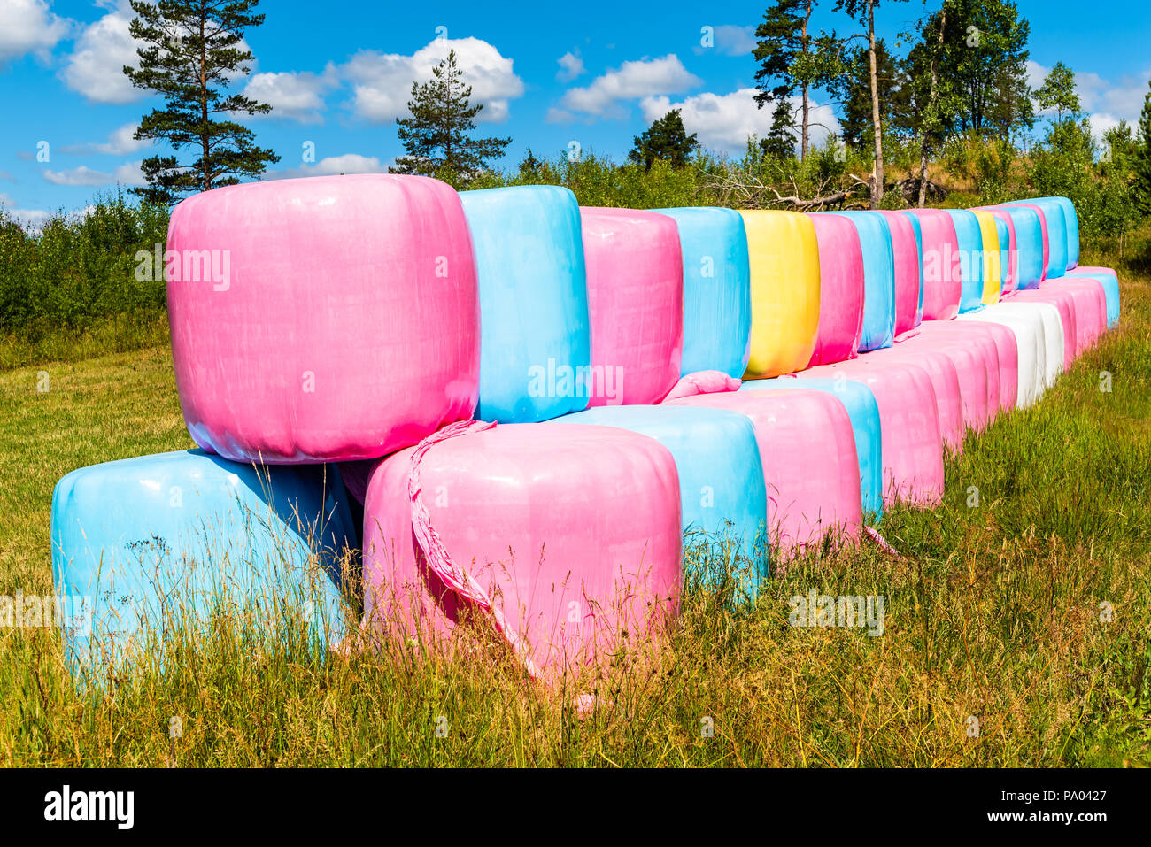 Colorful silage bales stacked in nature Stock Photo - Alamy