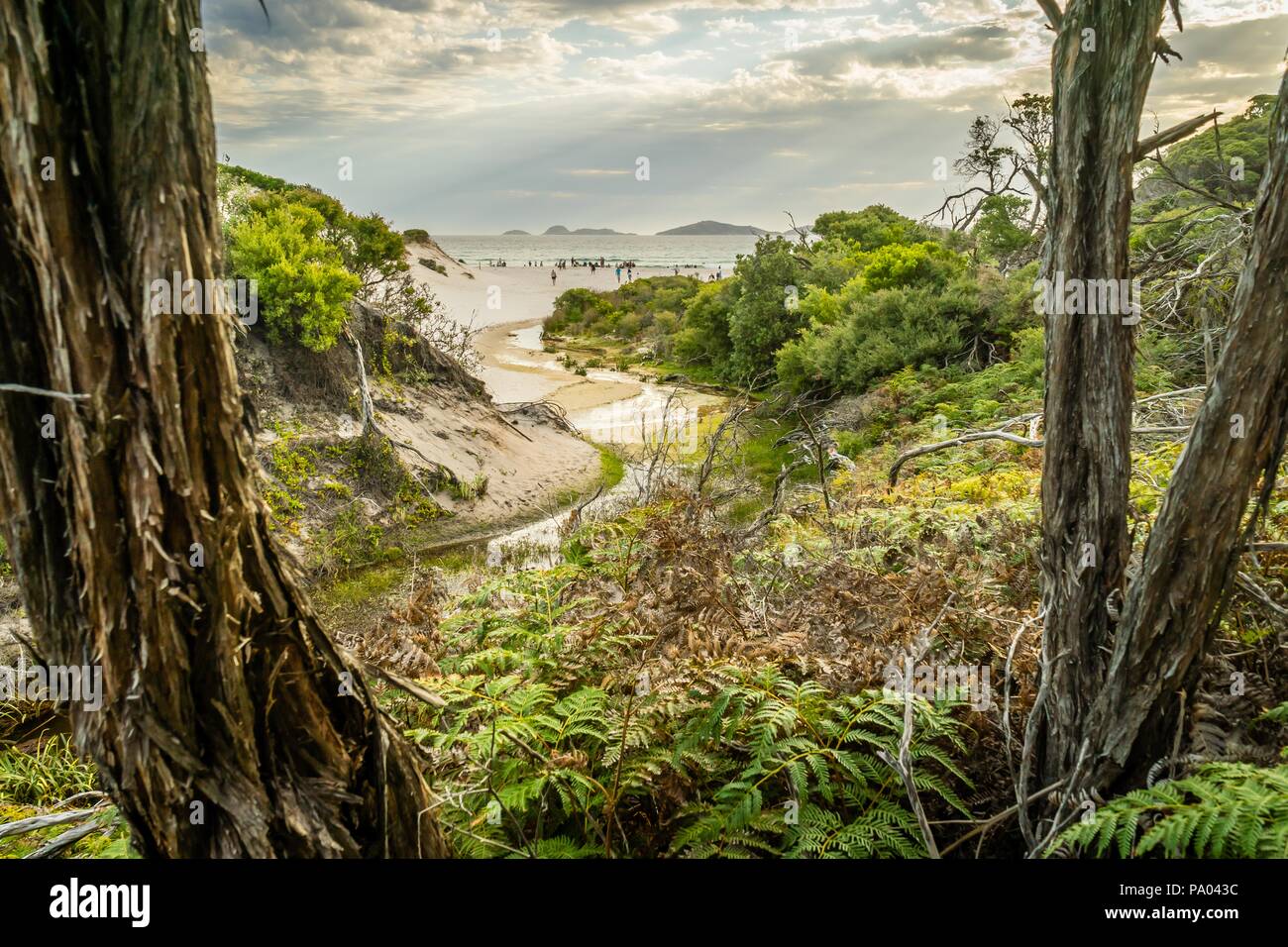 Squeaky beach hi-res stock photography and images - Alamy