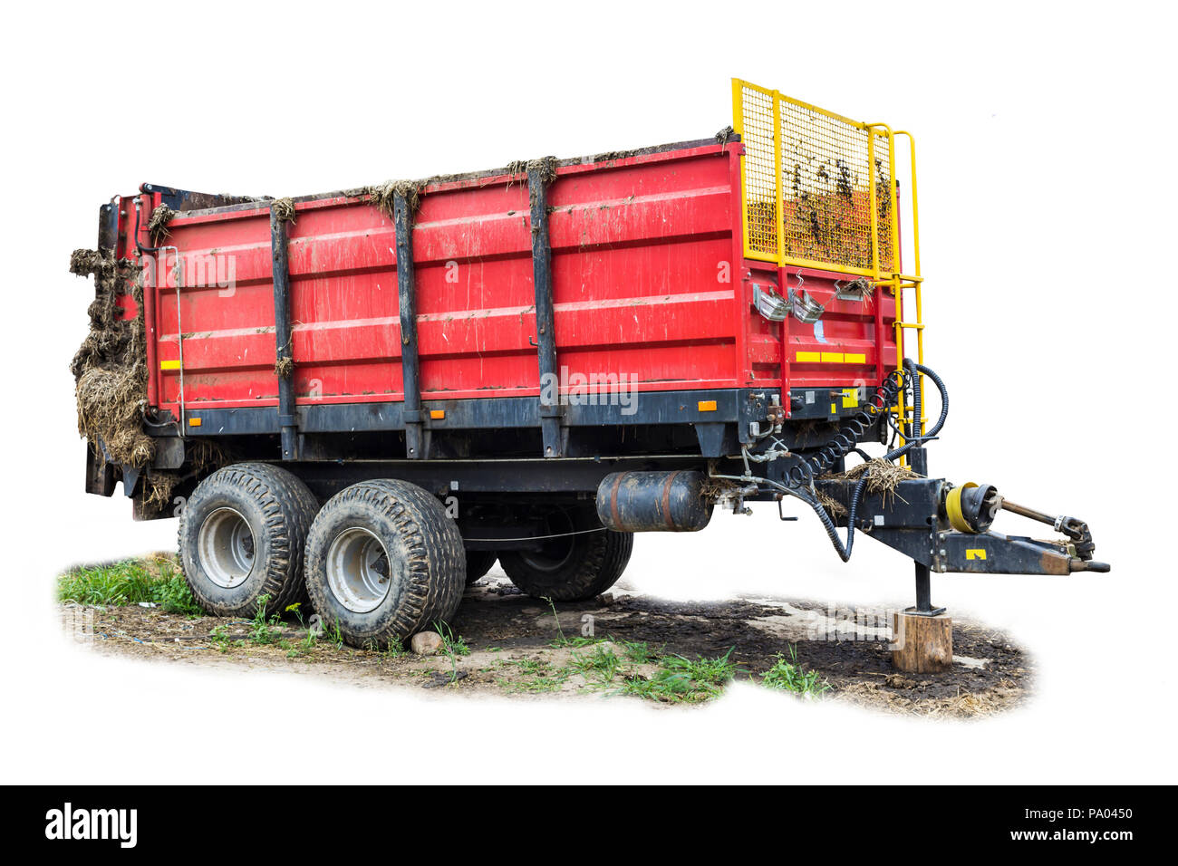 Cow husbandry in agricultural Cut Out Stock Images & Pictures - Alamy