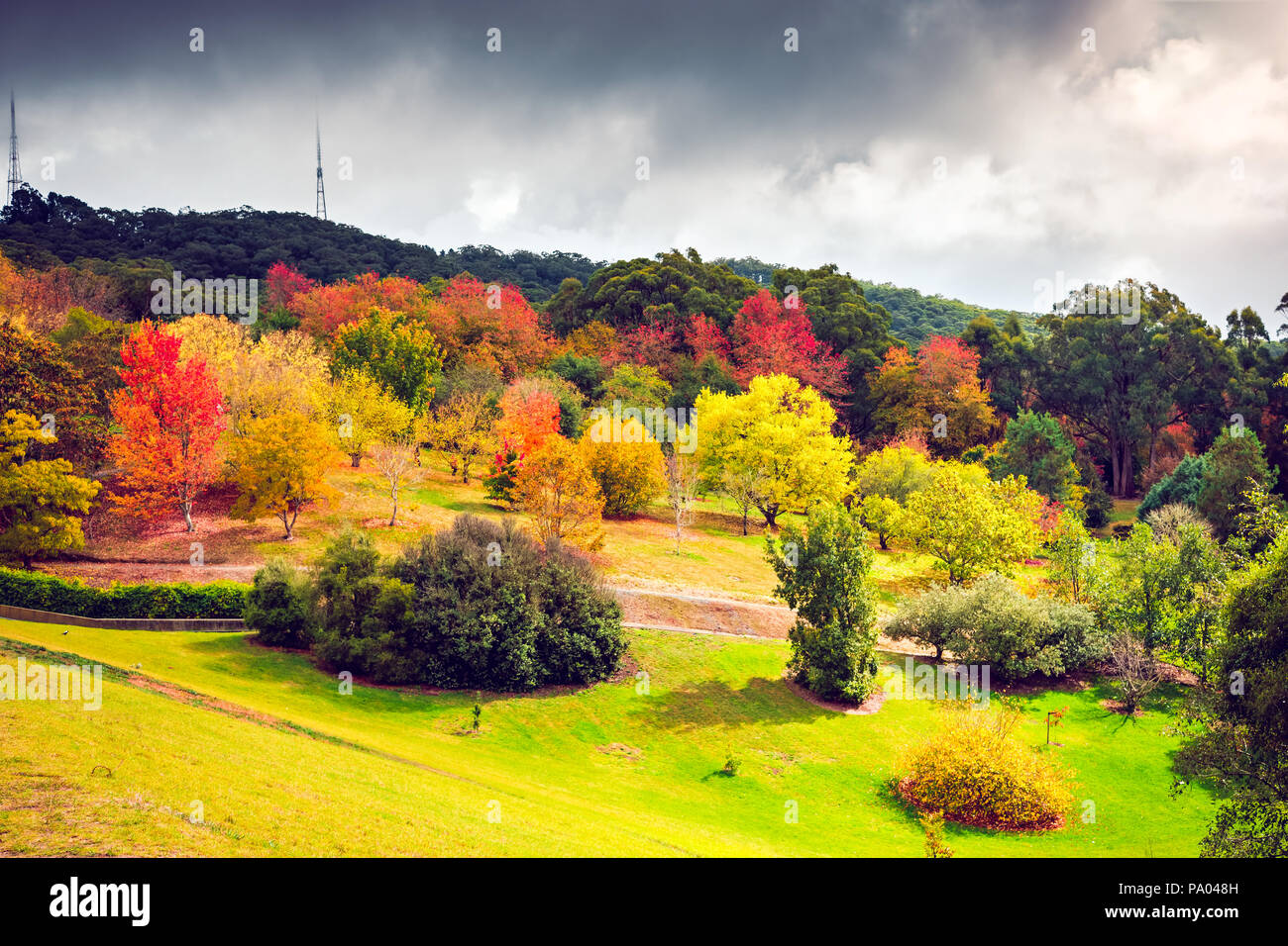 Colorful Australian autumn in Piccadilly Adelaide Hills, South ...