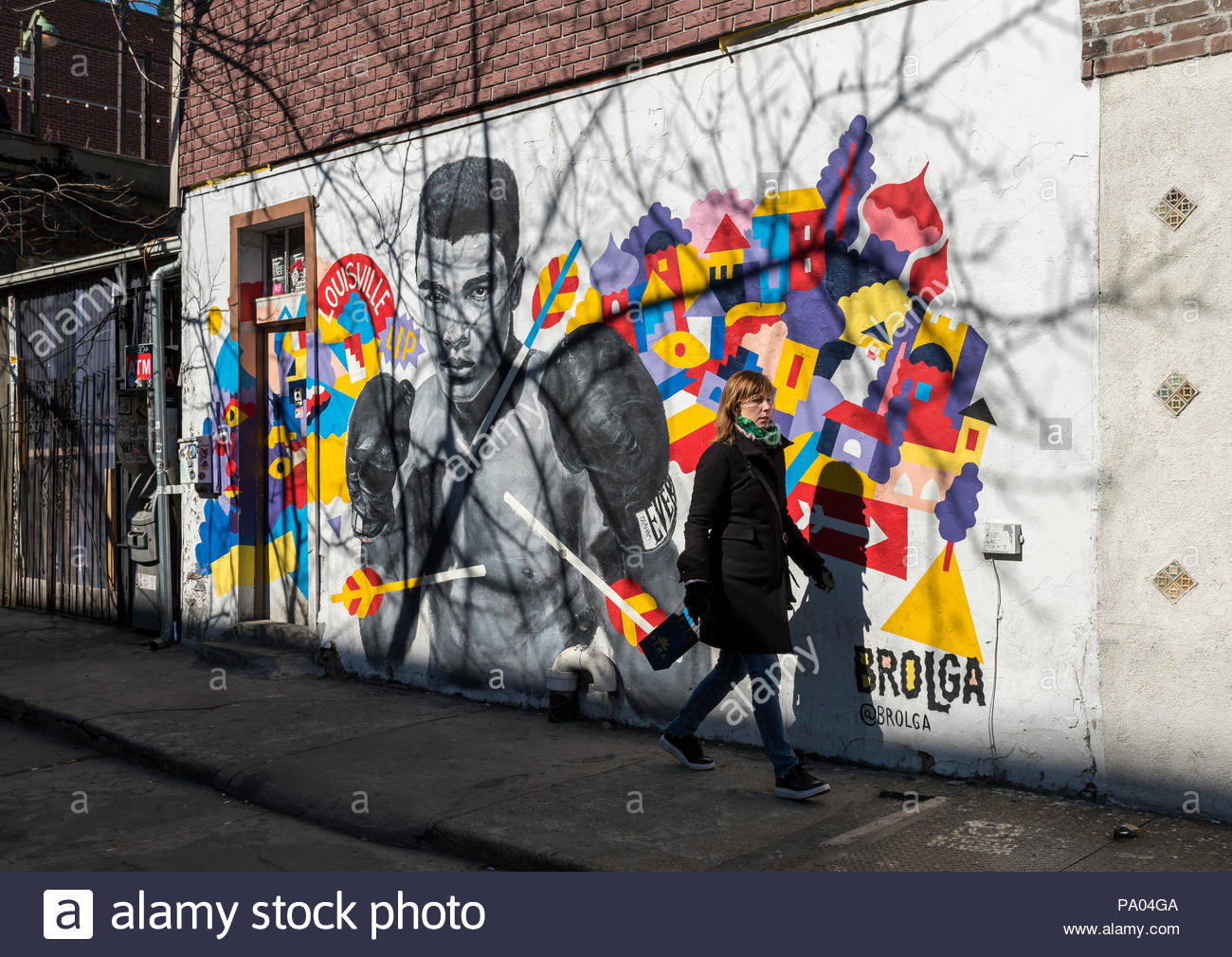 Brolga Stock Photos & Brolga Stock Images - Alamy