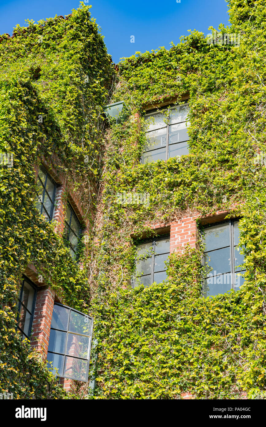 Vine over building hi-res stock photography and images - Alamy