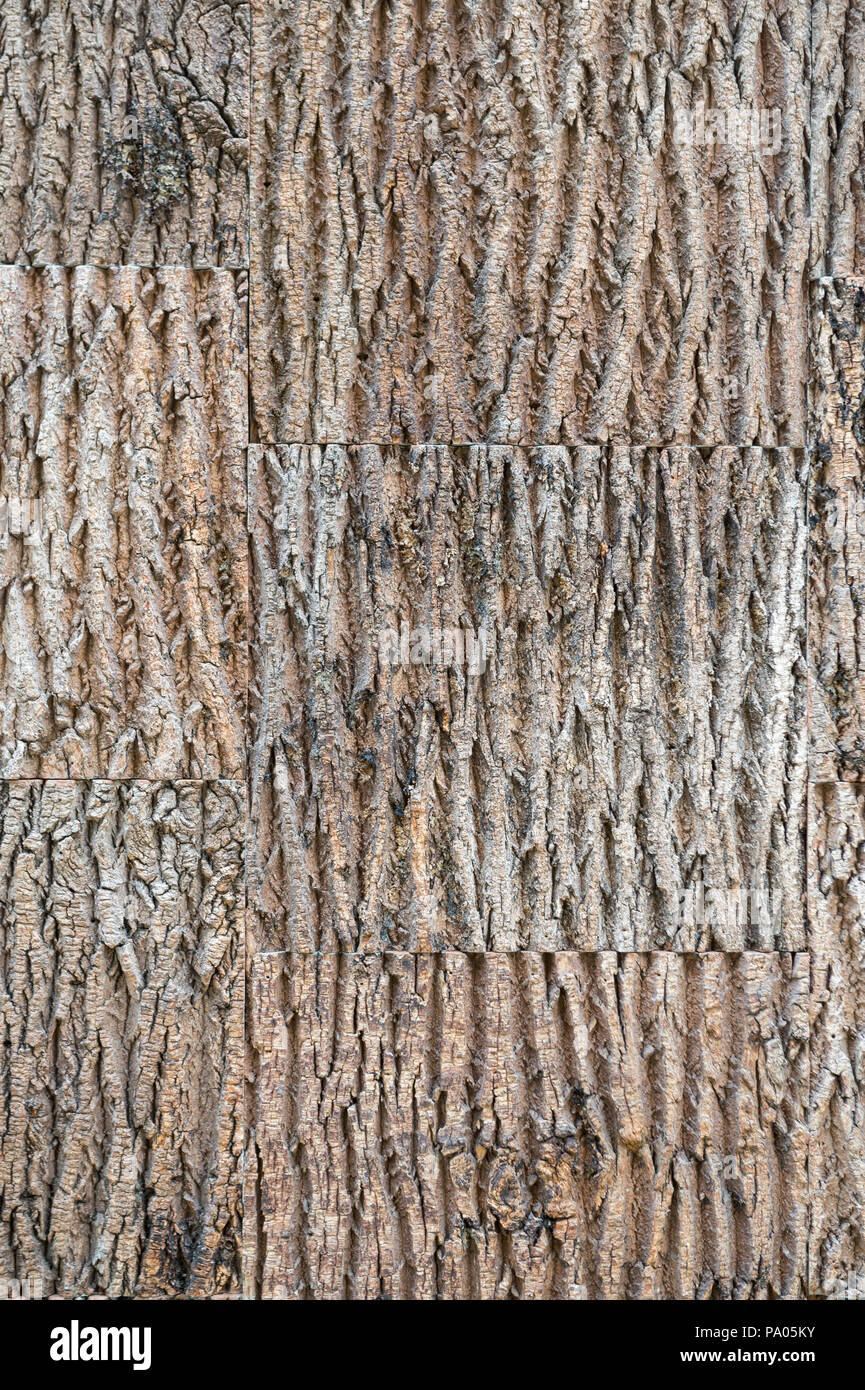 Abstract textured background of tree bark tiles Stock Photo - Alamy
