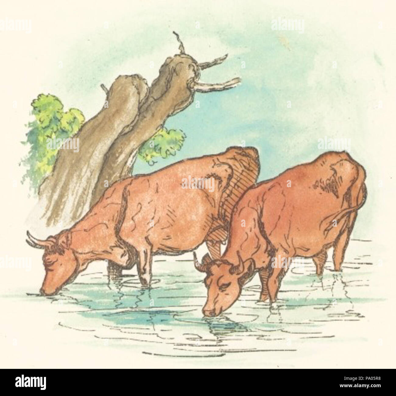 Artistic cows hi-res stock photography and images - Alamy