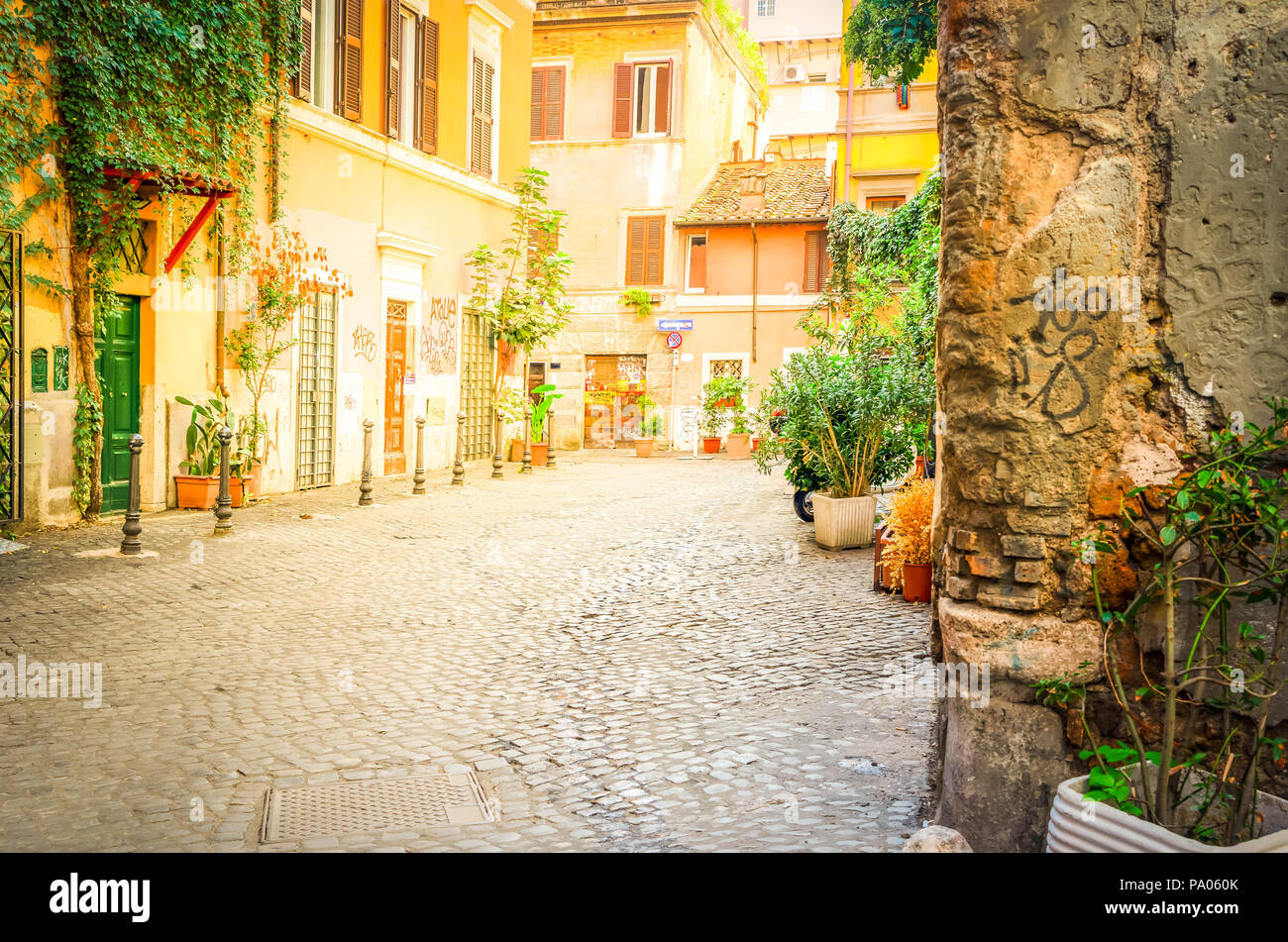 typical italian street in Trastevere with green plants and stone ...