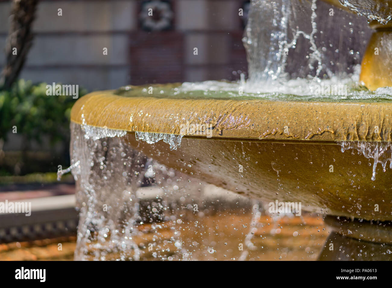 The Carolyn Craig Franklin Library Garden Courtyard and Fountain at Los ...