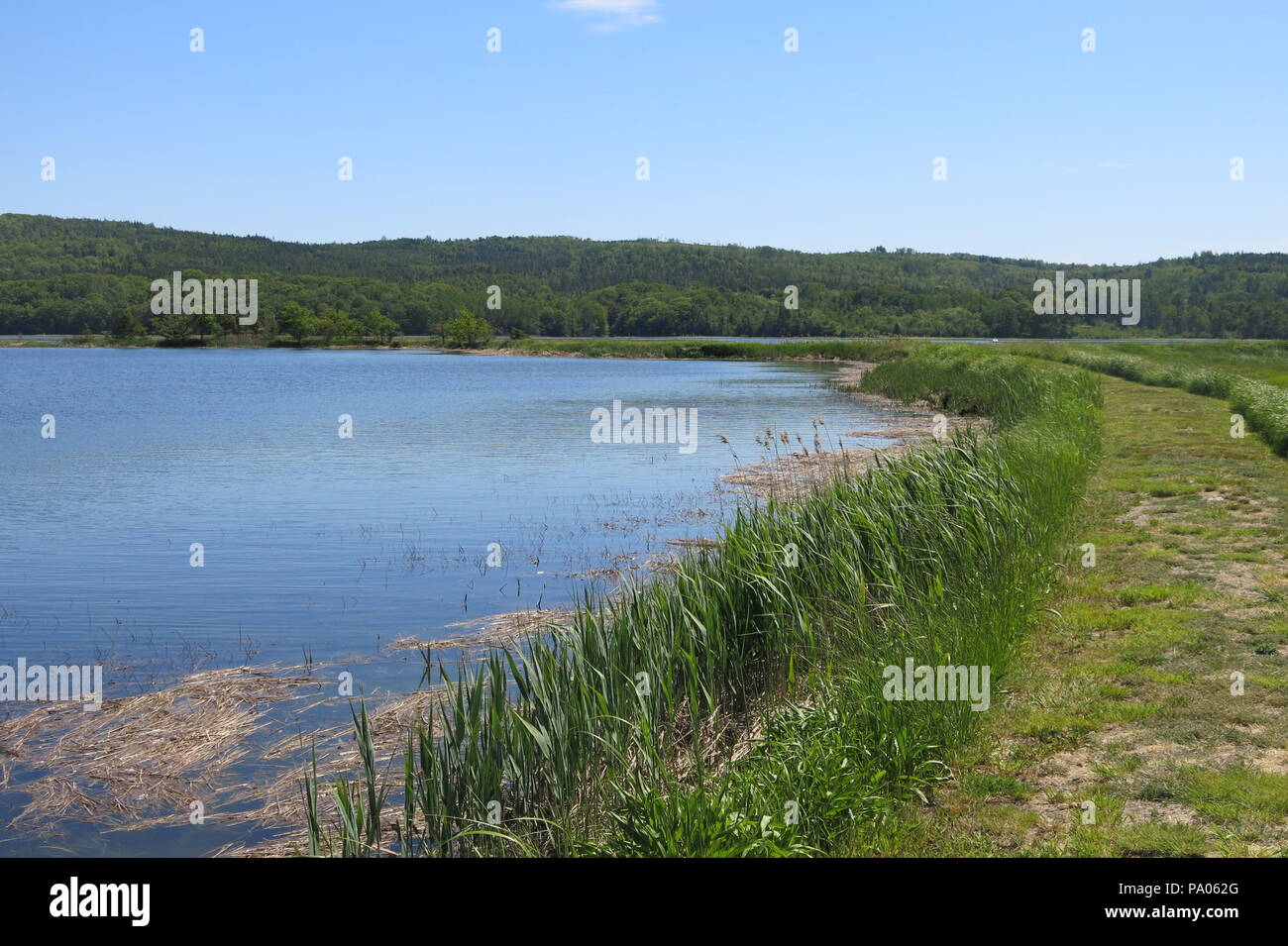 Dykewalk hi-res stock photography and images - Alamy