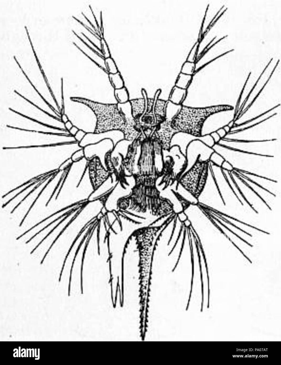 Nauplius hi-res stock photography and images - Alamy