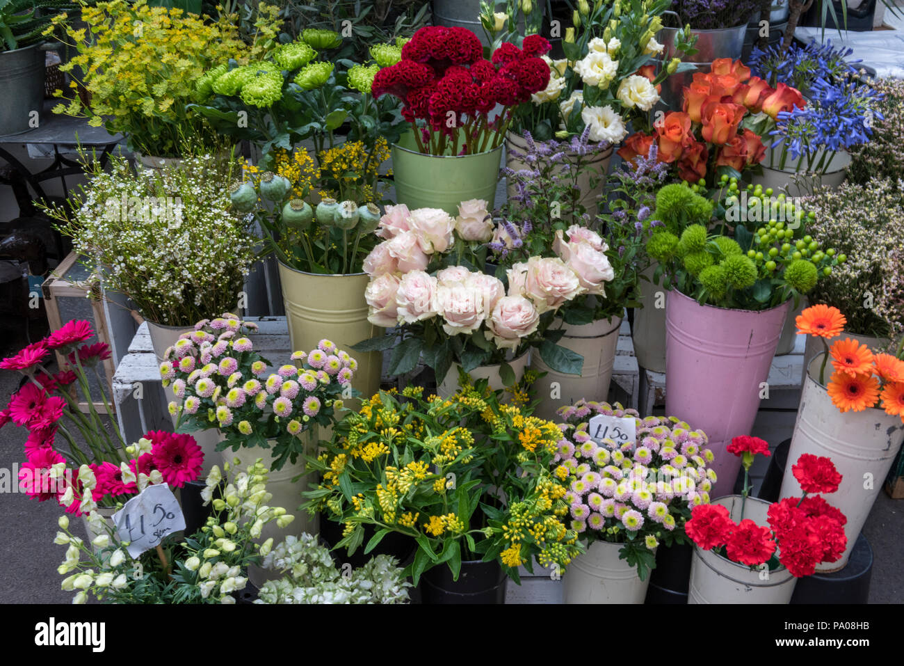 beautiful colourful flowers on display at a florists shop. selection of ...