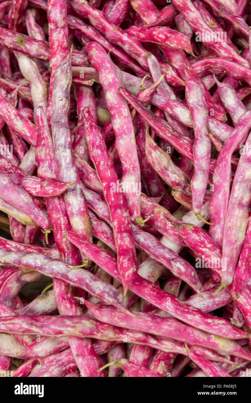 Shell on beans hi-res stock photography and images - Alamy