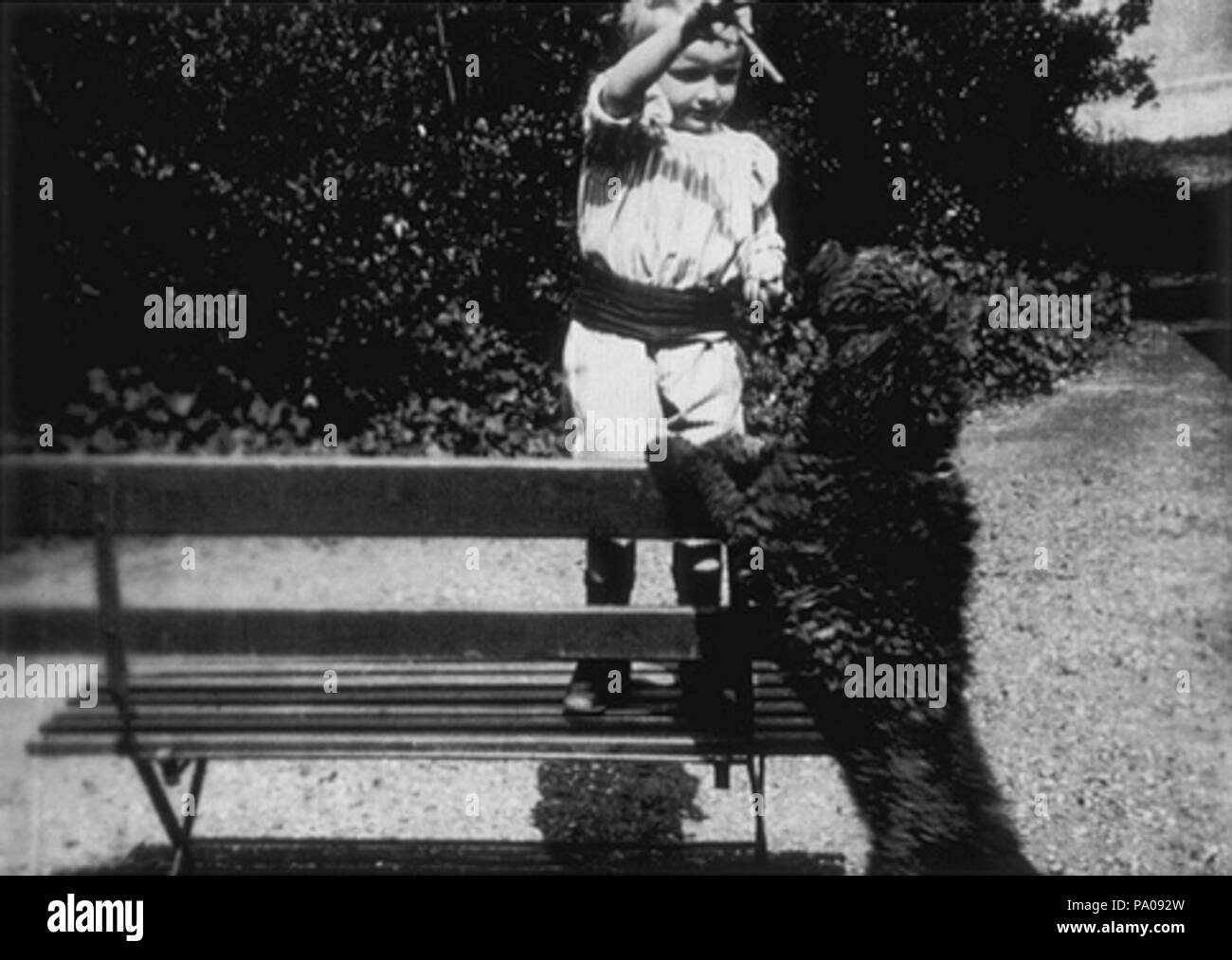 Enfant et chien hi-res stock photography and images - Alamy