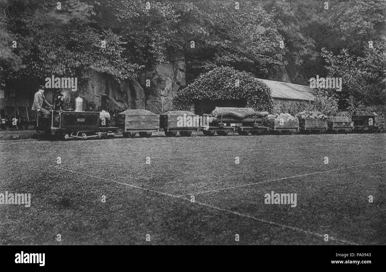 620 Engine No 2 Ella and goods train, Duffield Bank, Plate V (Minimum ...