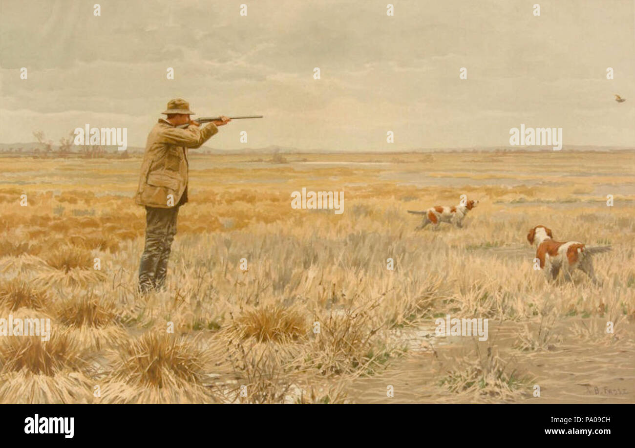 Snipe pictures hi-res stock photography and images - Alamy