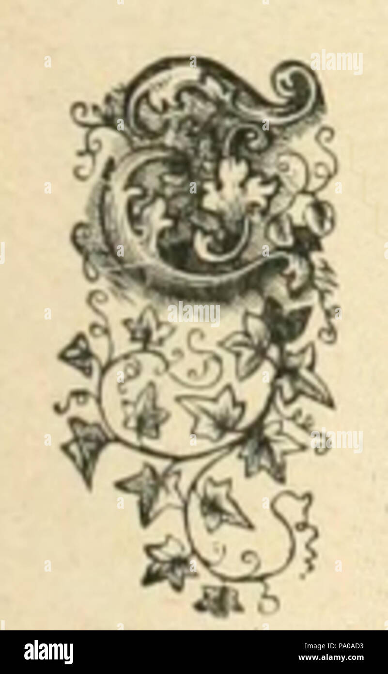 Extra detailed hi-res stock photography and images - Alamy