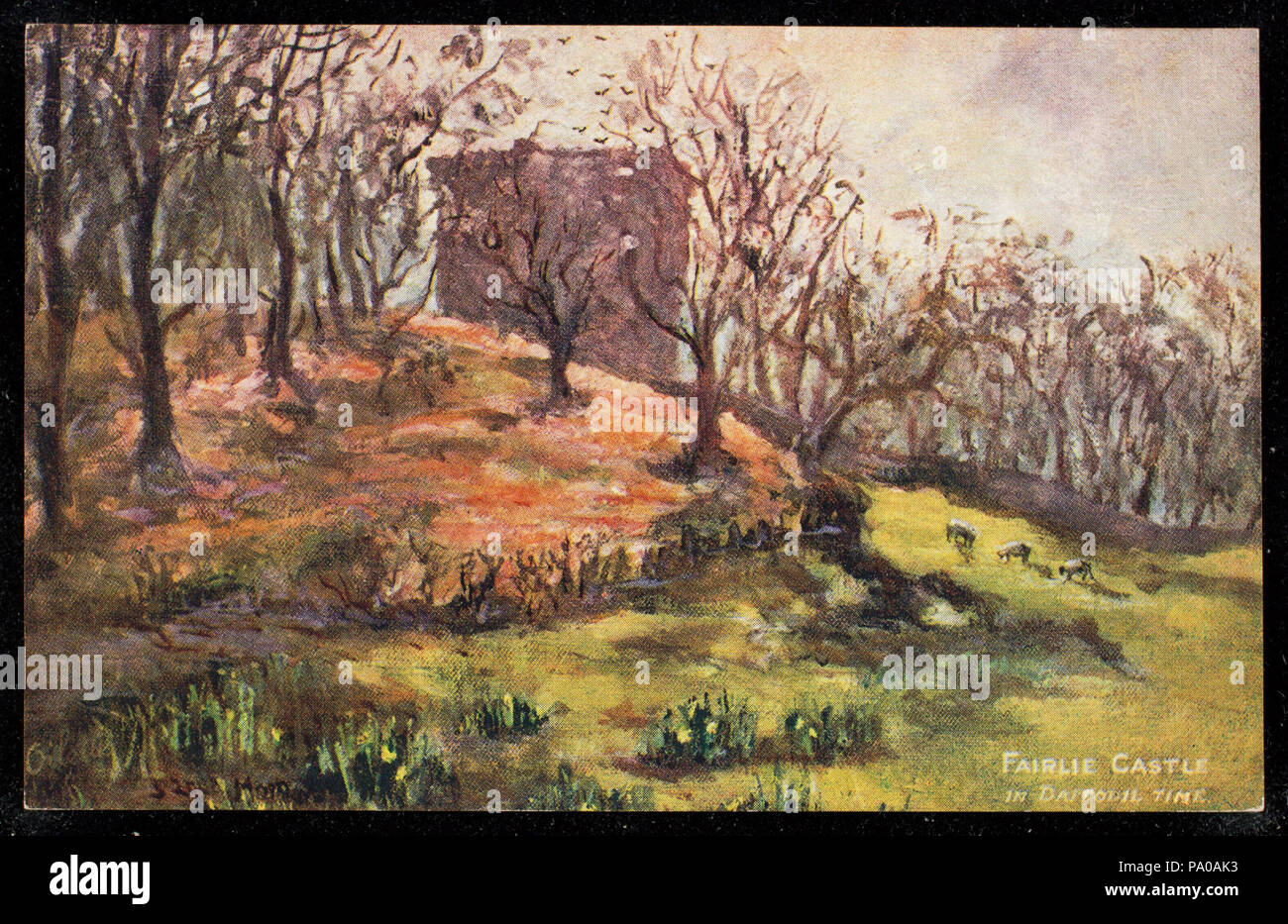 637 Fairlie Castle in Daifodil Time (NBY 443355 Stock Photo - Alamy