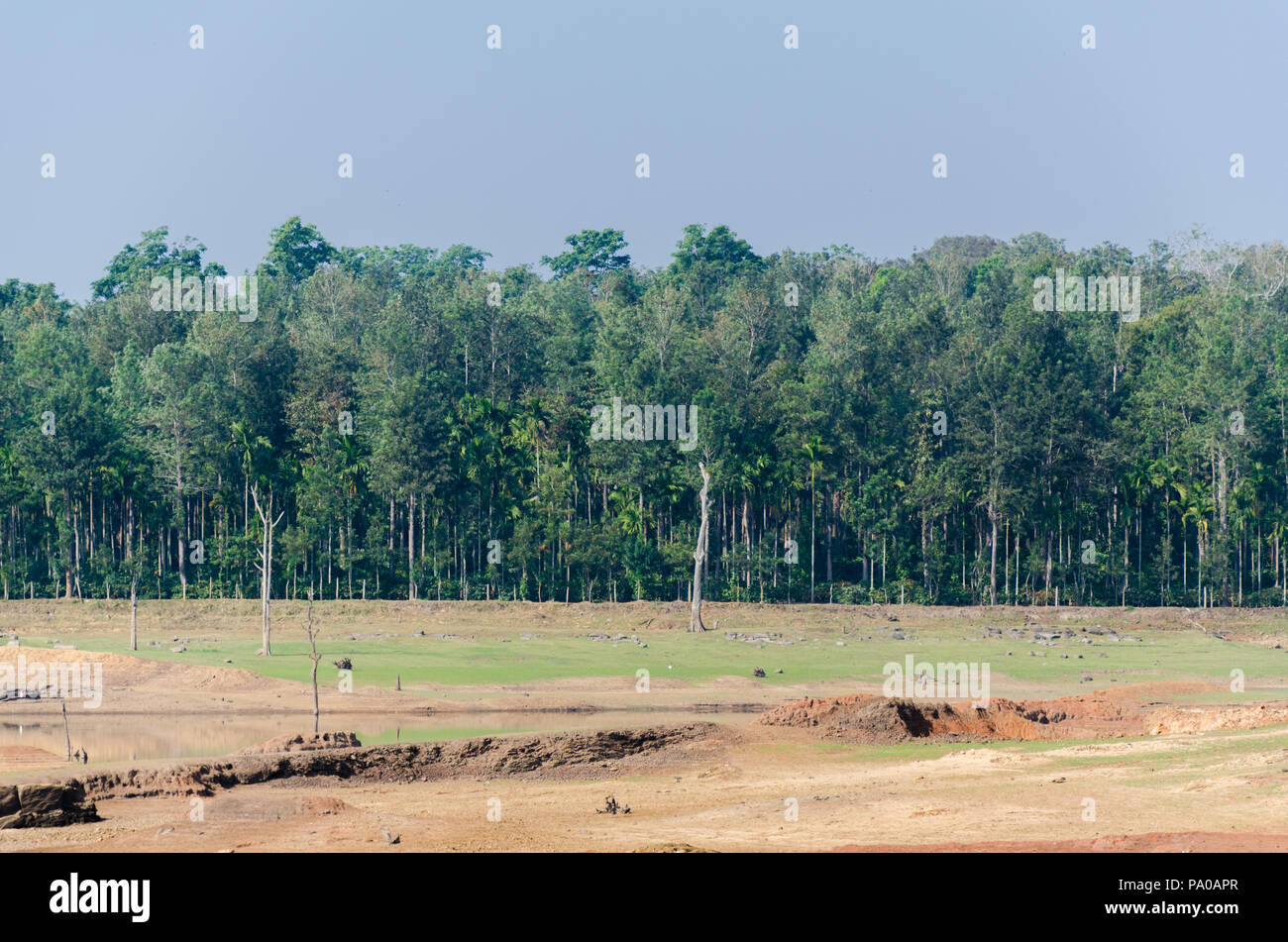 Attur forest region surrounding Chiklihole Reservoir in Kushalnagar ...