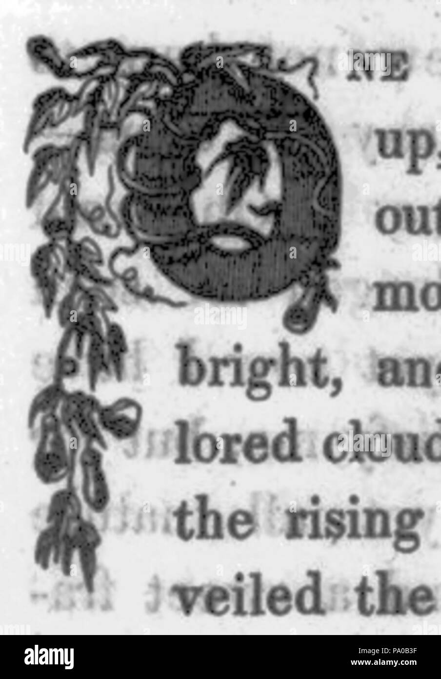 639 Fancy Drop Cap Letter O Stock Photo - Alamy