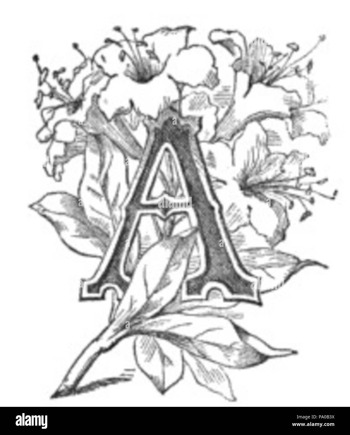 Artistic letter a hi-res stock photography and images - Alamy