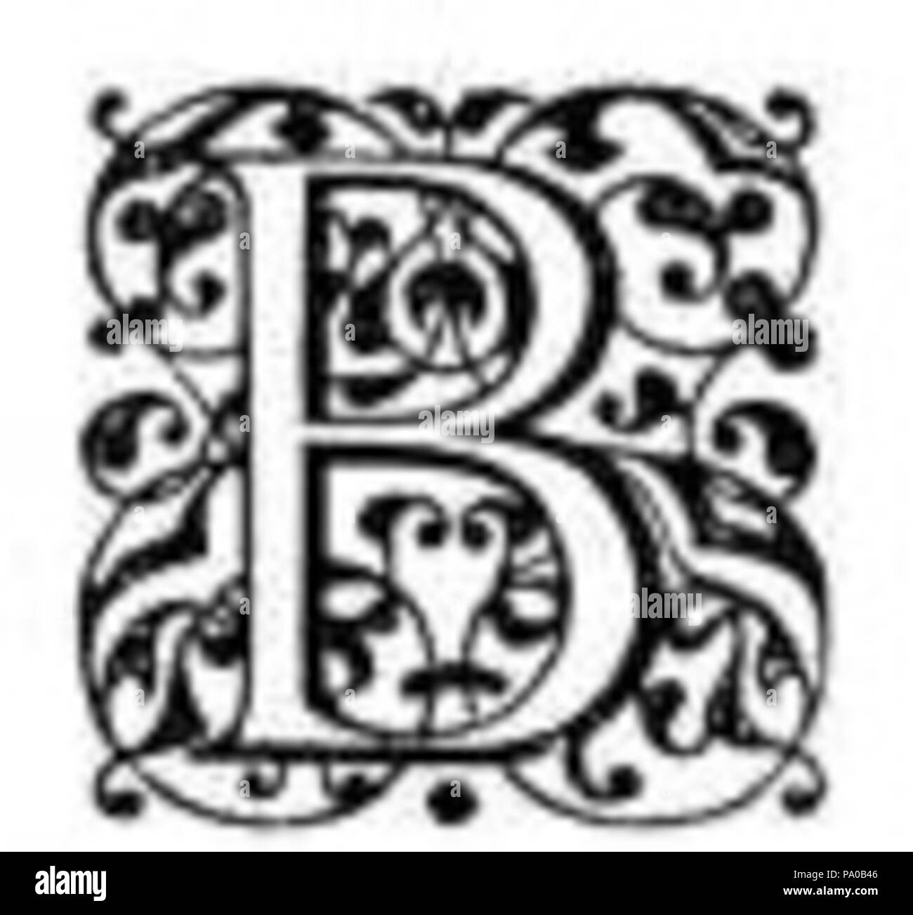 B 1 Cut Out Stock Images & Pictures - Alamy