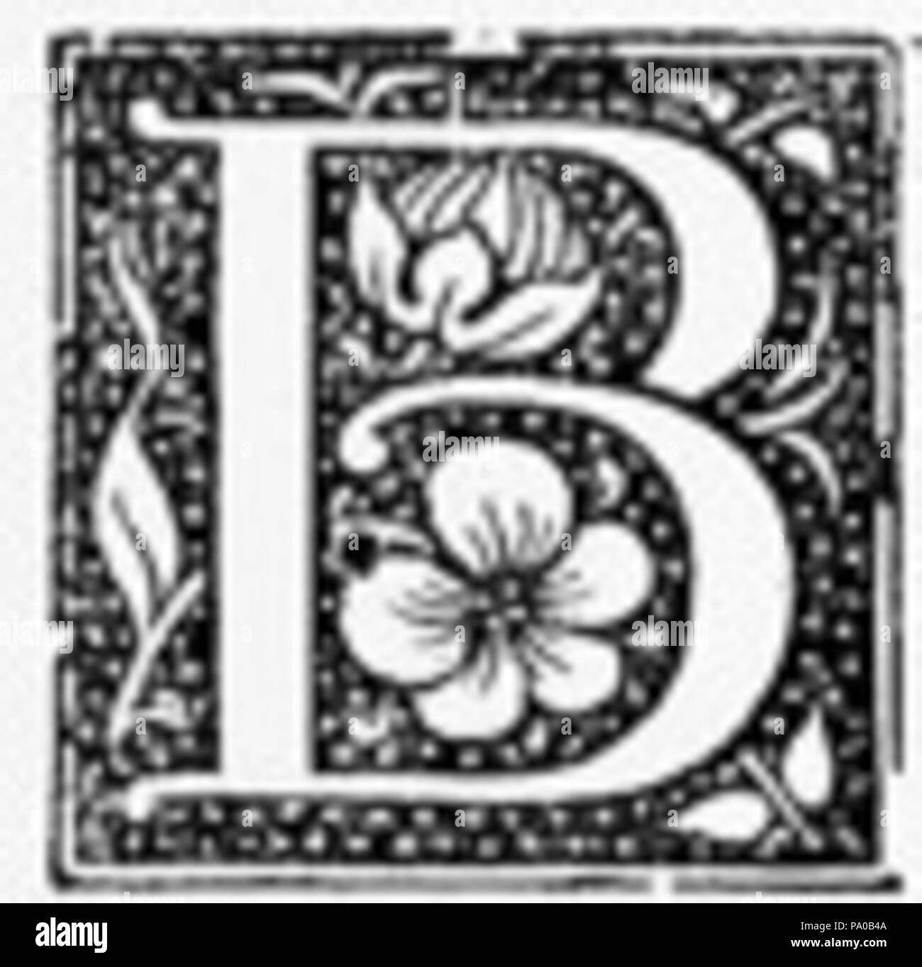 Fancy Letter B Images