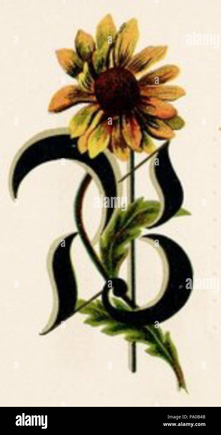 B image hi-res stock photography and images - Alamy