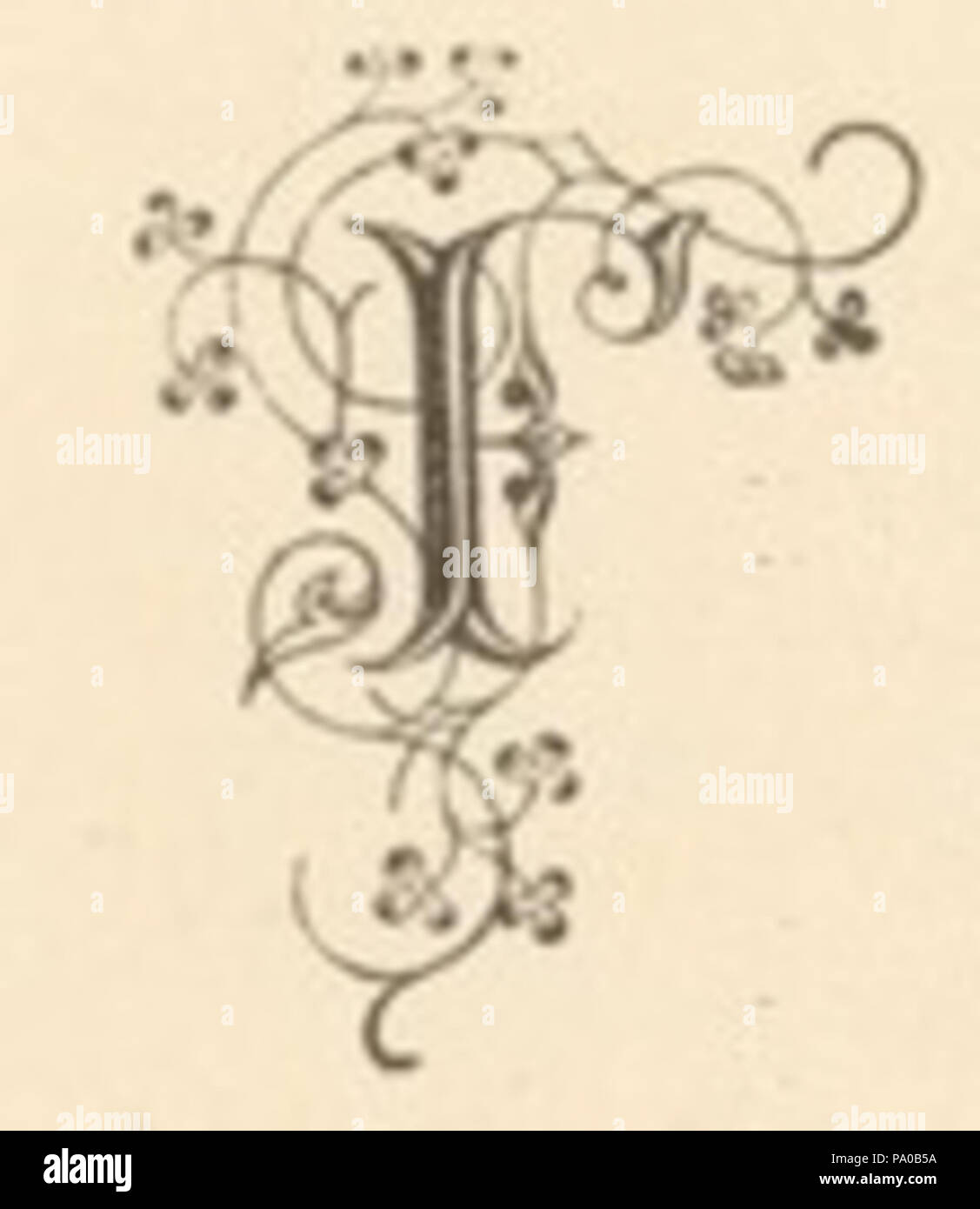 Lettering letter f hi-res stock photography and images - Alamy