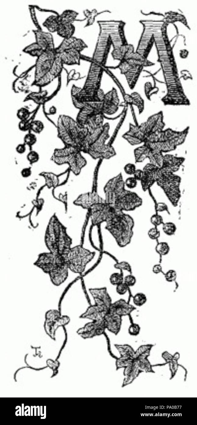 Fancy letter m hi-res stock photography and images - Alamy