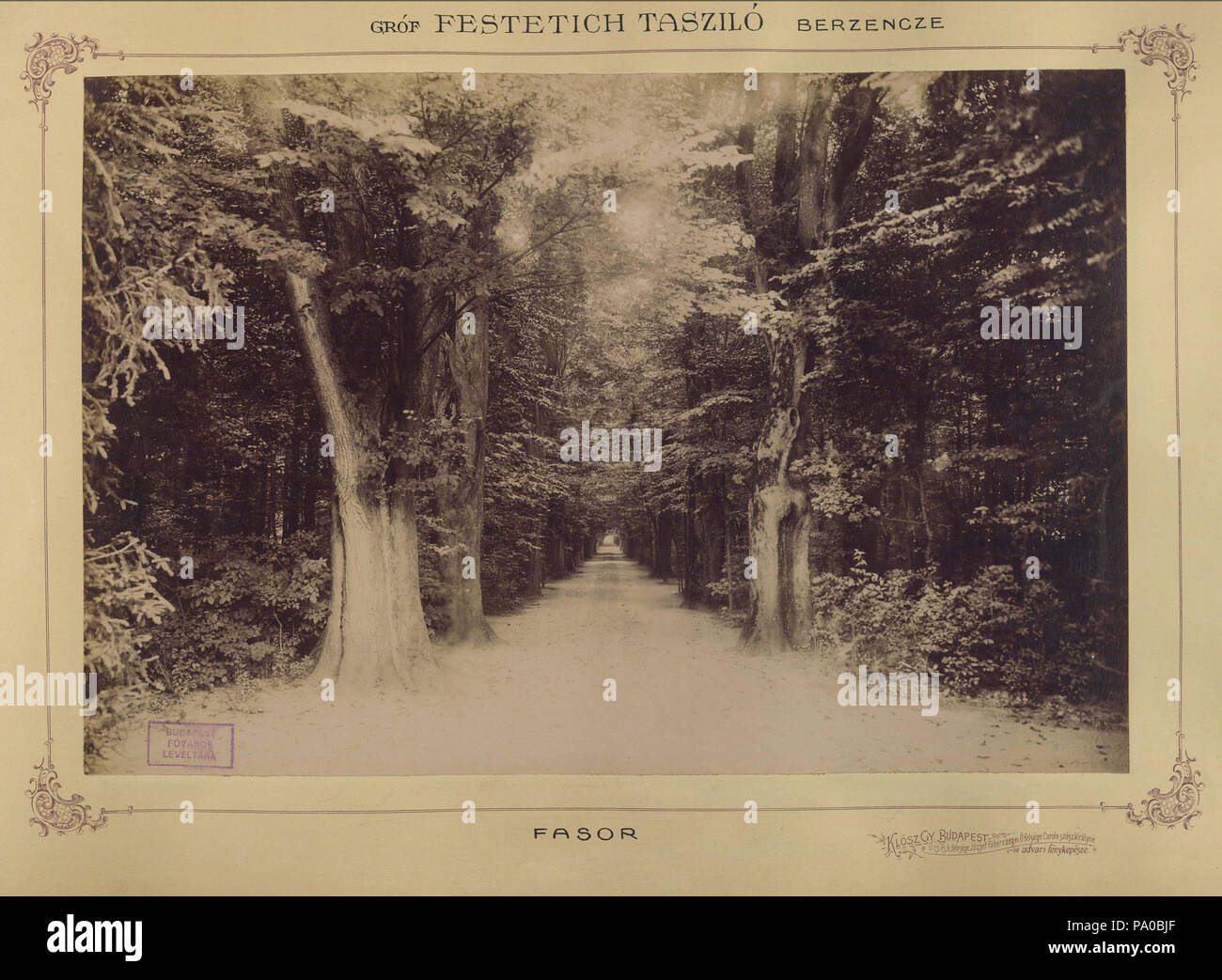 Festetics family hi-res stock photography and images - Alamy