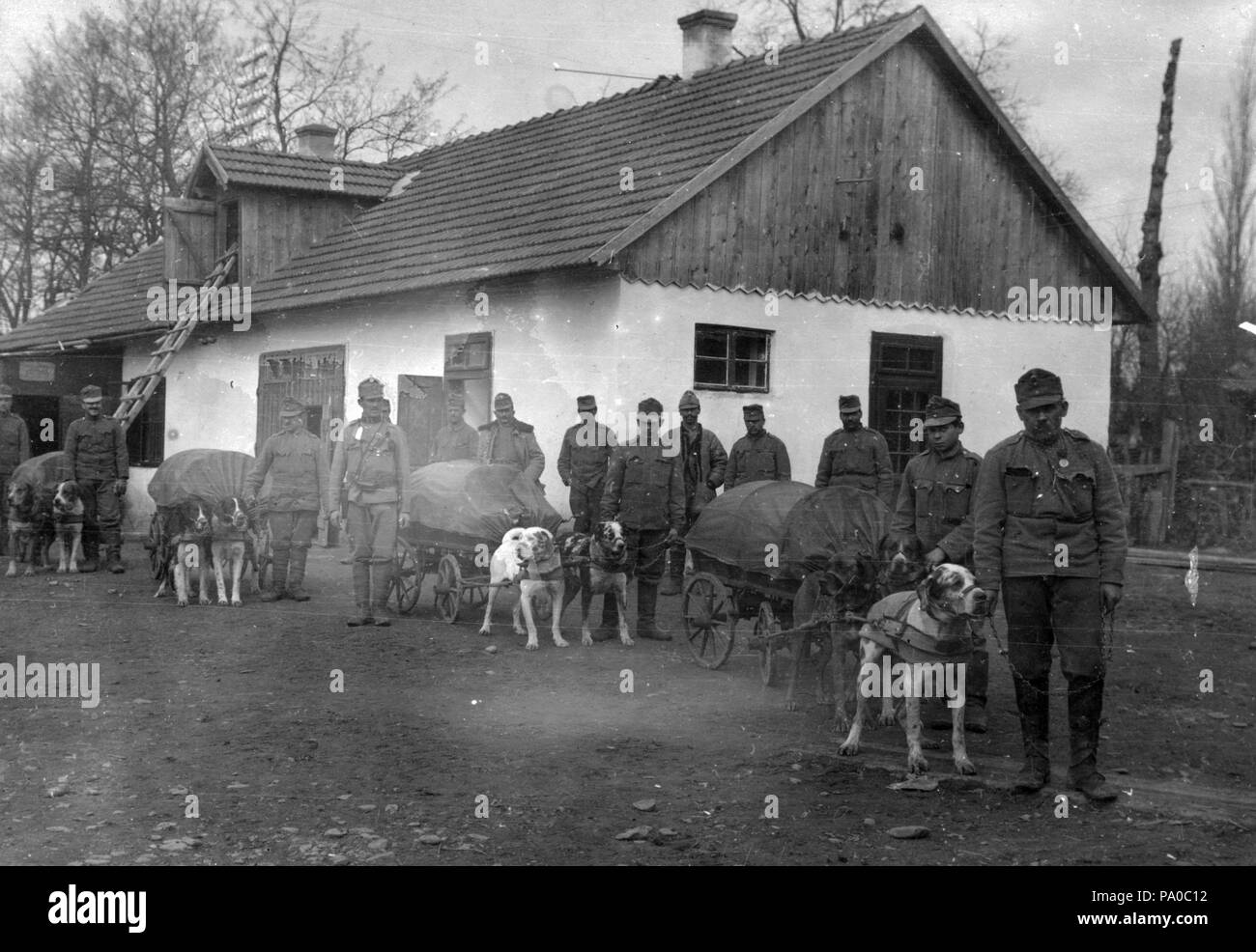 World war dog cart hi-res stock photography and images - Alamy